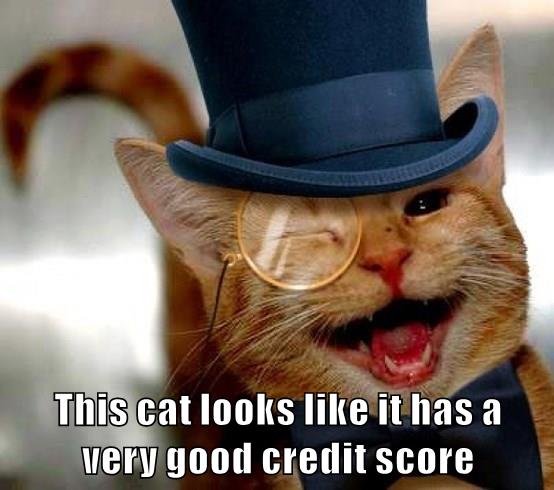 This cat looks like it has a very good credit score - Lolcats - lol ...