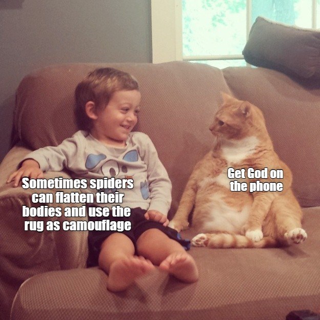 Make It Quick - Lolcats - lol | cat memes | funny cats | funny cat ...