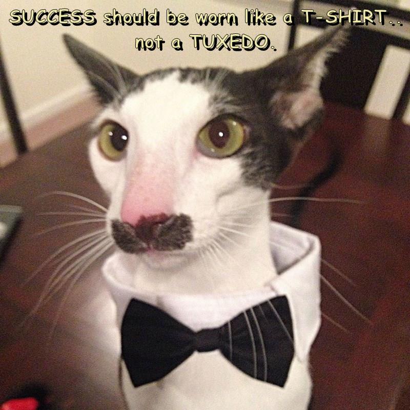 SUCCESS - Lolcats - lol | cat memes | funny cats | funny cat pictures ...