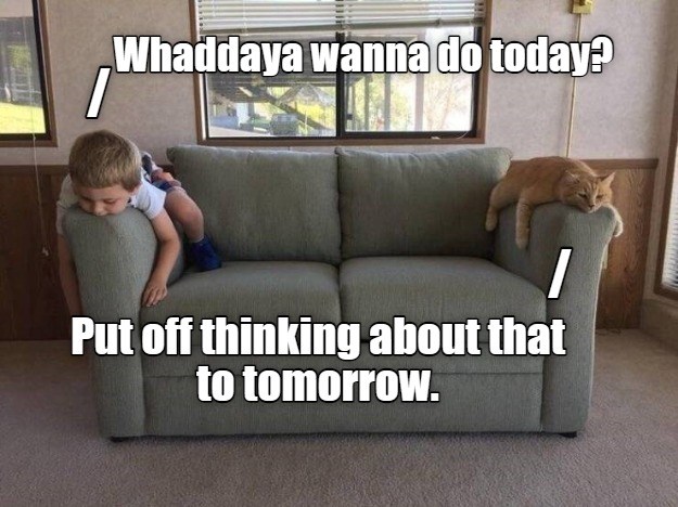 Good Plan! - Lolcats - lol | cat memes | funny cats | funny cat ...