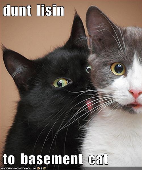 Dunt lisin to basement cat - Lolcats - lol | cat memes | funny cats ...