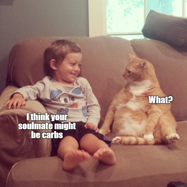 Come Again? - Lolcats - lol | cat memes | funny cats | funny cat ...