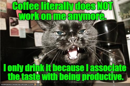 It's the strongest thing I can drink at work. - Lolcats - lol | cat ...