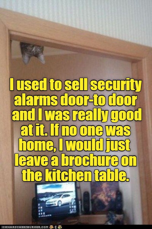 Ninja salesman - Lolcats - lol | cat memes | funny cats | funny cat ...