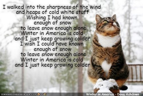 Winter in America - Lolcats - lol | cat memes | funny cats | funny cat ...