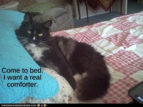 My warm and cozy can opener - Lolcats - lol | cat memes | funny cats ...