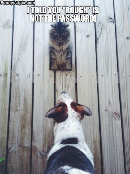 Change your password - Lolcats - lol | cat memes | funny cats | funny ...