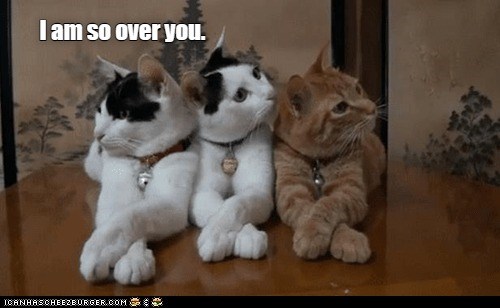 I am so over you - Lolcats - lol | cat memes | funny cats | funny cat ...