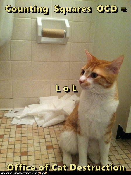 Counting Squares OCD - Lolcats - lol | cat memes | funny cats | funny ...