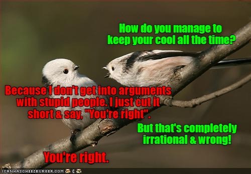 Keeping it short - Animal Comedy - Animal Comedy, funny animals, animal ...