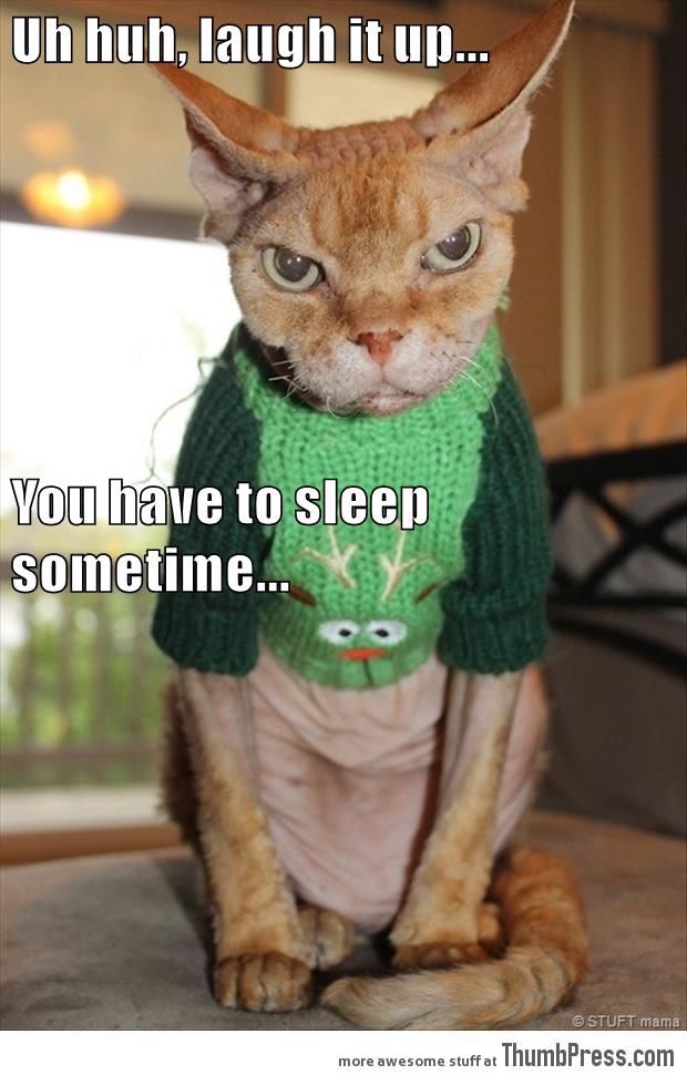 Uh huh, laugh it up... - Lolcats - lol | cat memes | funny cats | funny ...