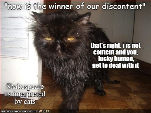 Shakespeare as interpreted by cats - Lolcats - lol | cat memes | funny ...