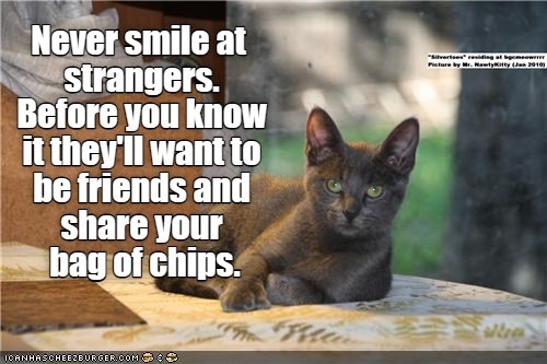 Sound advice - Lolcats - lol | cat memes | funny cats | funny cat ...