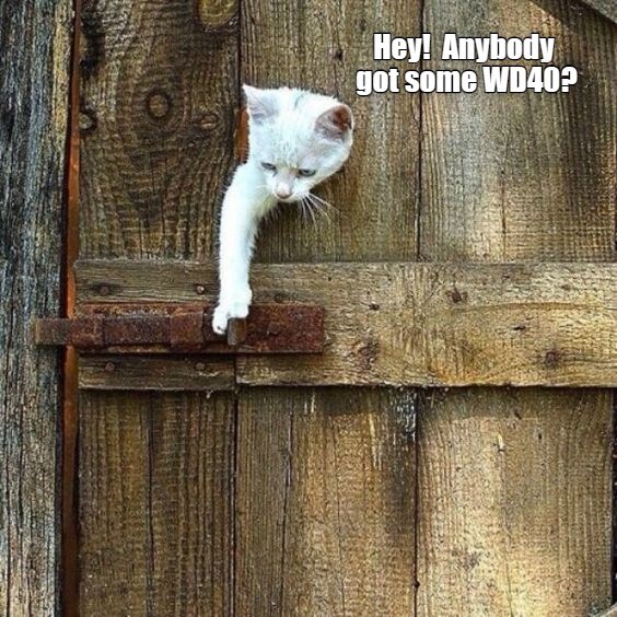 Rusty wonders - Lolcats - lol | cat memes | funny cats | funny cat ...