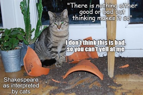 Shakespeare as interpreted by cats - Lolcats - lol | cat memes | funny ...