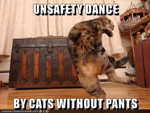 UNSAFETY DANCE BY CATS WITHOUT PANTS - Lolcats - lol | cat memes ...