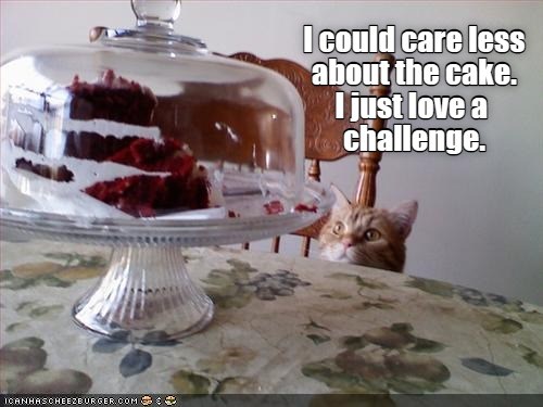 Challenge accepted - Lolcats - lol | cat memes | funny cats | funny cat pictures with words on ...