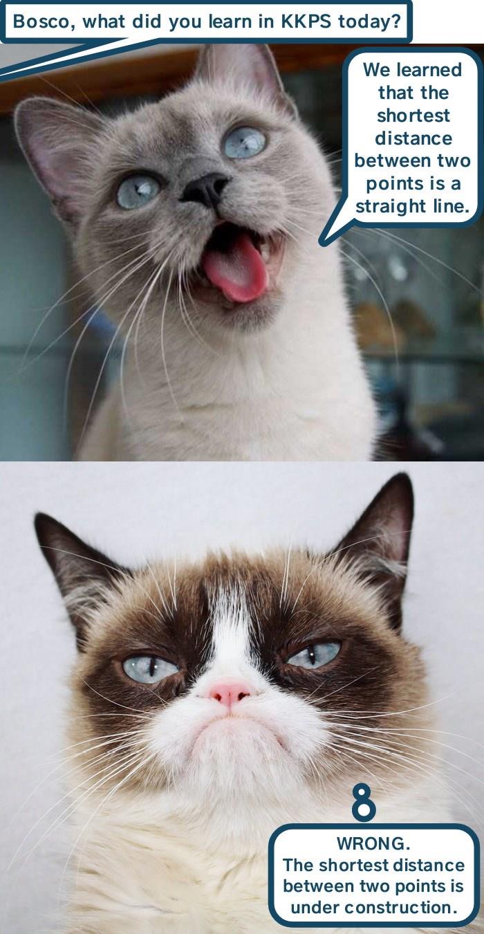 What are they teaching you kits? - Lolcats - lol | cat memes | funny ...