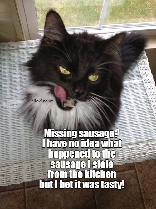 yummy! - Lolcats - lol | cat memes | funny cats | funny cat pictures ...