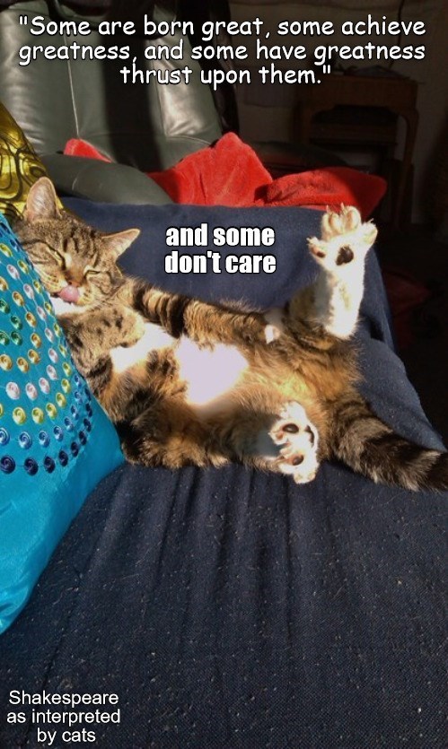 Shakespeare by cat - I Can Has Cheezburger?