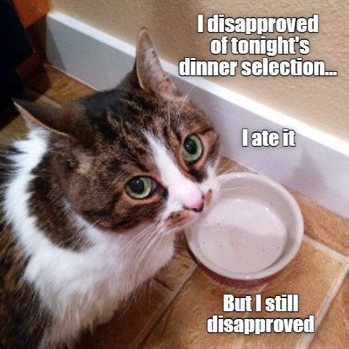 The Salmon Was A Tad Overcooked - Lolcats - lol | cat memes | funny ...