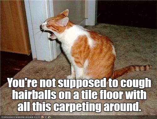 Learning curve - Lolcats - lol | cat memes | funny cats | funny cat ...