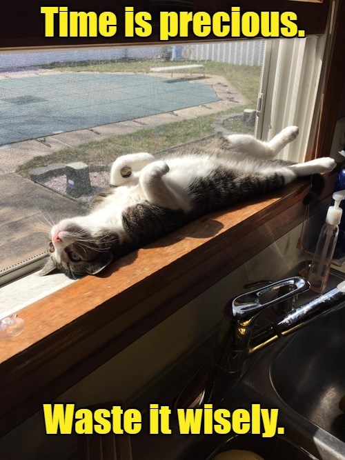 A word to the wise. - Lolcats - lol | cat memes | funny cats | funny ...