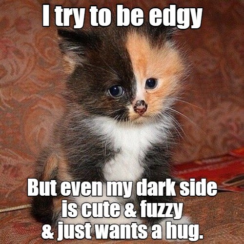 Adorable Angst - Lolcats - lol | cat memes | funny cats | funny cat ...