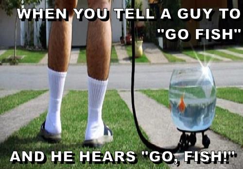 WHEN YOU TELL A GUY TO "GO FISH" AND HE HEARS "GO, FISH!" - Animal ...