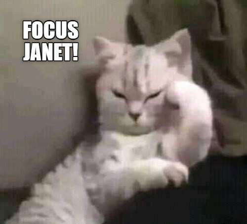 First Day With The New Camera - Lolcats - lol | cat memes | funny cats ...