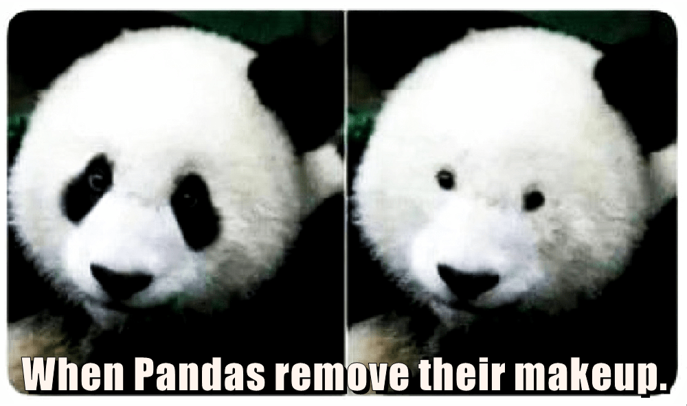 Panda Without Makeup Meme | Saubhaya Makeup