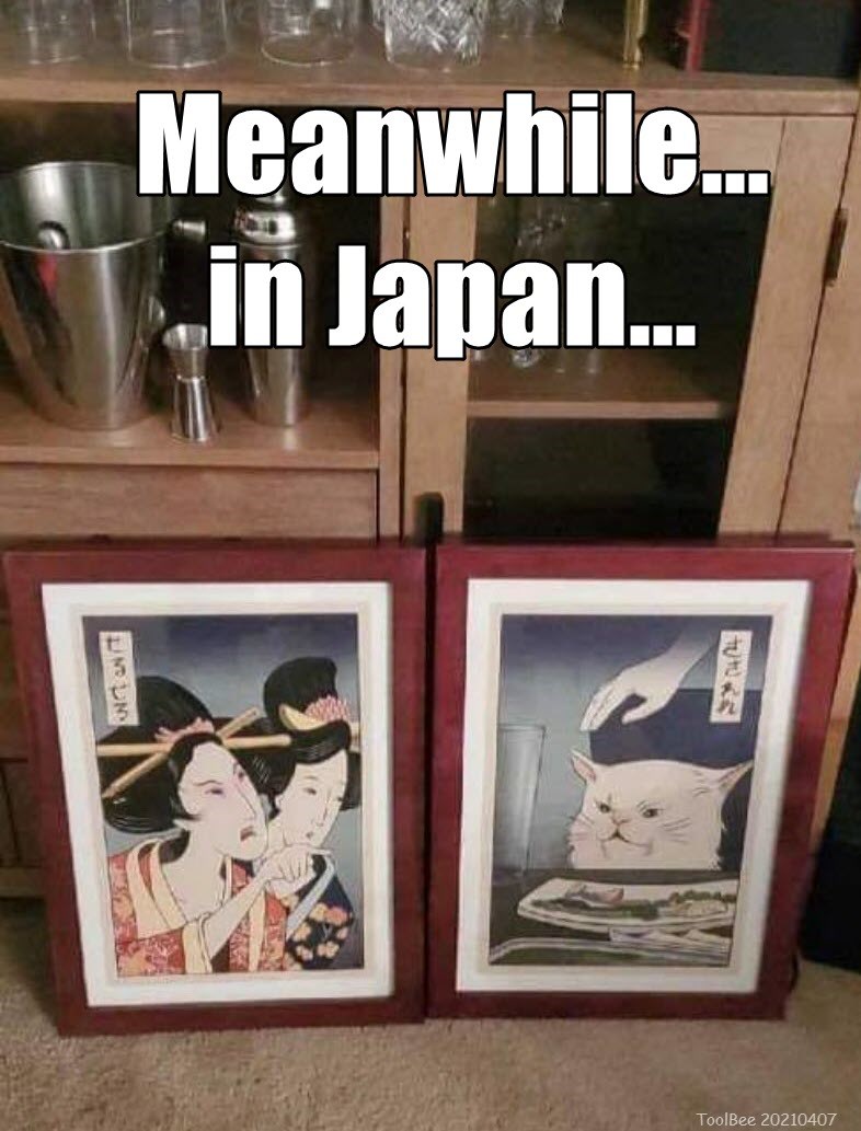 The Meme That Keeps On Giving - Lolcats - lol | cat memes | funny cats ...