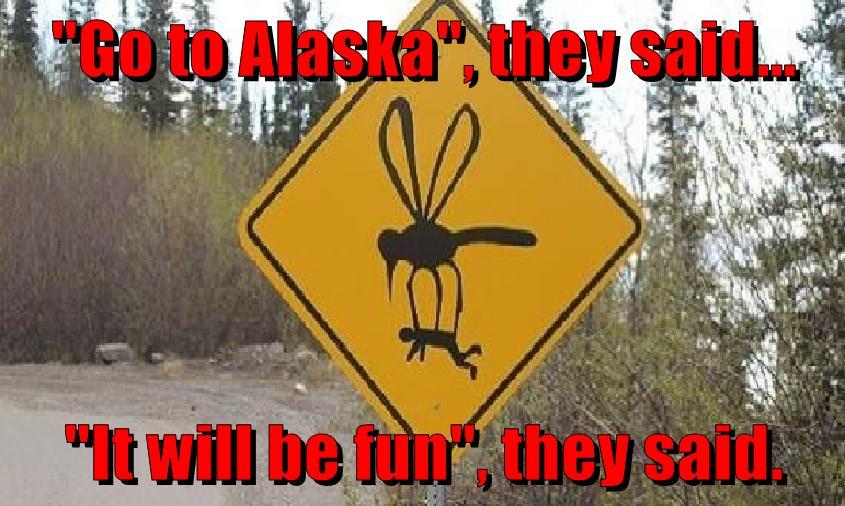"Go to Alaska", they said... "It will be fun", they said. - Animal ...