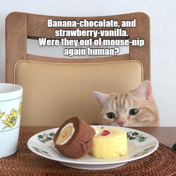 Perhaps you should switch to a different bakery - Lolcats - lol | cat ...