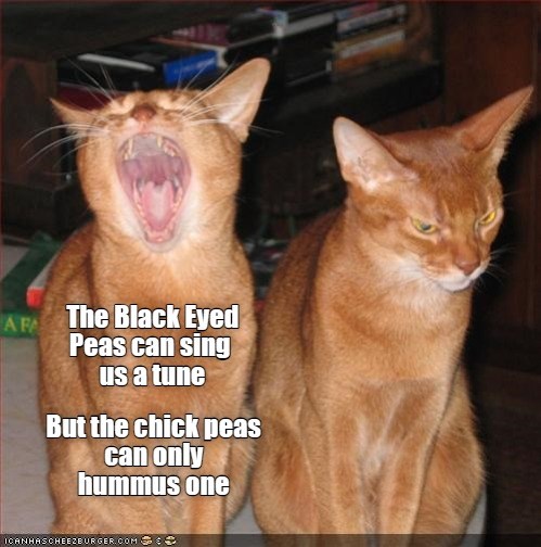 I Hate Peas Anyway - Lolcats - lol | cat memes | funny cats | funny cat ...
