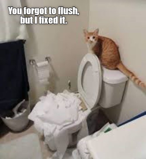 Fixed it - Lolcats - lol | cat memes | funny cats | funny cat pictures ...