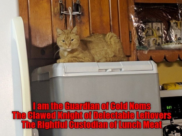 The Guardian of Cold Noms - Lolcats - lol | cat memes | funny cats ...