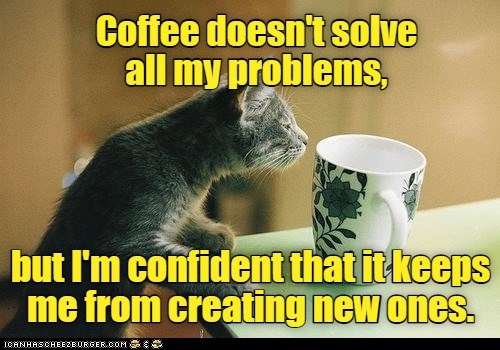 Fix me a cup of fix-it juice - Lolcats - lol | cat memes | funny cats ...