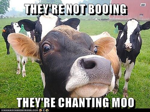 THEY'RE NOT BOOING THEY'RE CHANTING MOO - Animal Comedy - Animal Comedy ...