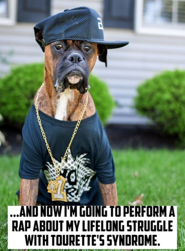 Rapper Dawg - I Has A Hotdog - Dog Pictures - Funny pictures of dogs ...