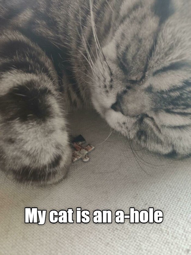 When You Think You're Going To Finish - Lolcats - lol | cat memes ...