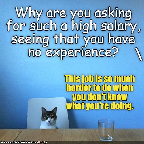 Purr-fectly logical - Lolcats - lol | cat memes | funny cats | funny ...