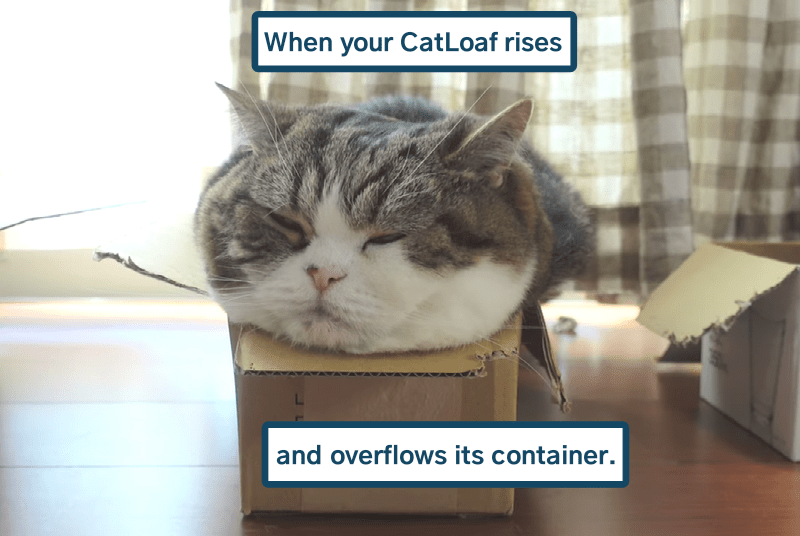 catloaf - I Can Has Cheezburger?