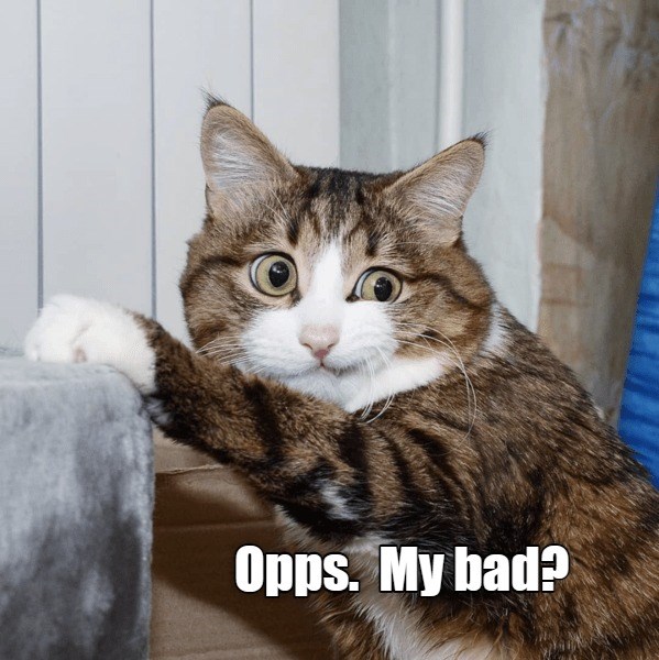 Opps - Lolcats - lol | cat memes | funny cats | funny cat pictures with ...