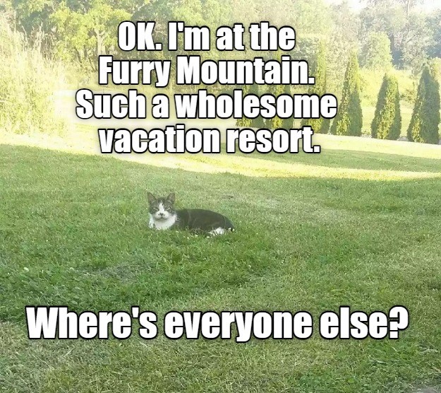 And when will we start teh hunt? - Lolcats - lol | cat memes | funny ...