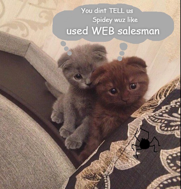 oRly? DATZ a Computer?? - Lolcats - lol | cat memes | funny cats ...