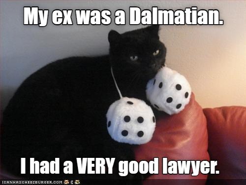 Divorce, One Oh Won. - Lolcats - lol | cat memes | funny cats | funny ...