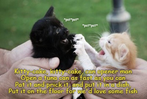 Kitty-cake, kitty-cake - Lolcats - lol | cat memes | funny cats | funny ...