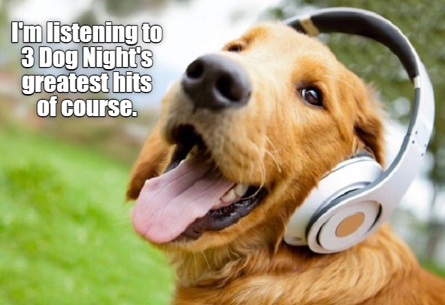 Of course - I Has A Hotdog - Dog Pictures - Funny pictures of dogs ...