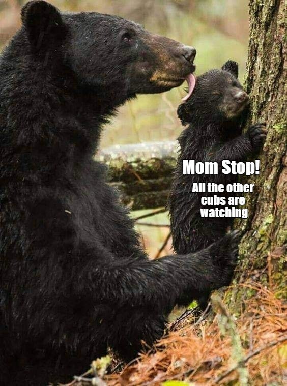 Mom, Stop - Animal Comedy - Animal Comedy, funny animals, animal gifs